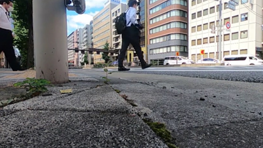 COVID-19 State Of Emergency Leaves Tokyo Streets, Sidewalks Empty