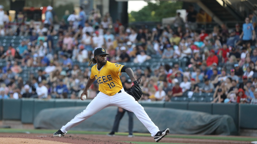 Salt lake bees store
